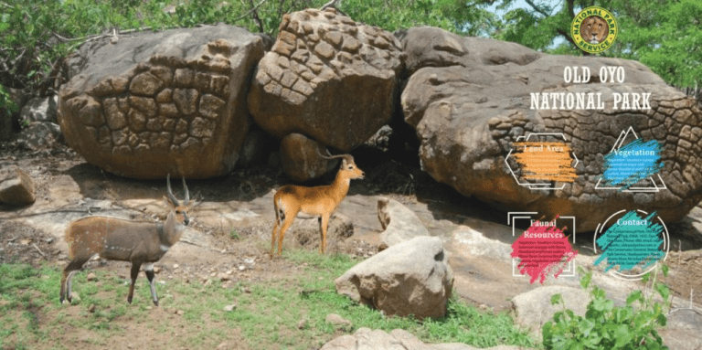 Old Oyo National Park · Soluap