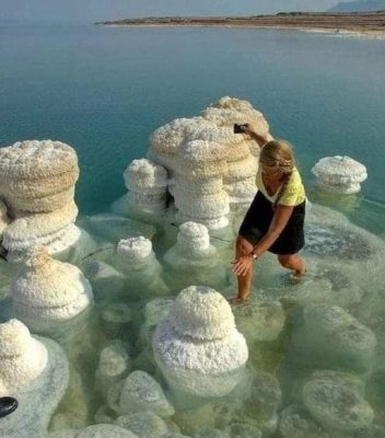 Dead Sea: A Natural Wonder of Extreme Salinity · Soluap