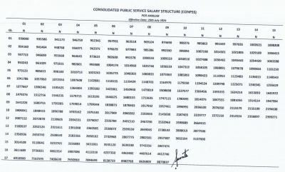 Consolidated Public Service Salary Structure (CONPSS) · Soluap