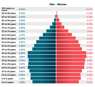 Brazil Age Pyramid: A Look at Population Structure and Demographic ...